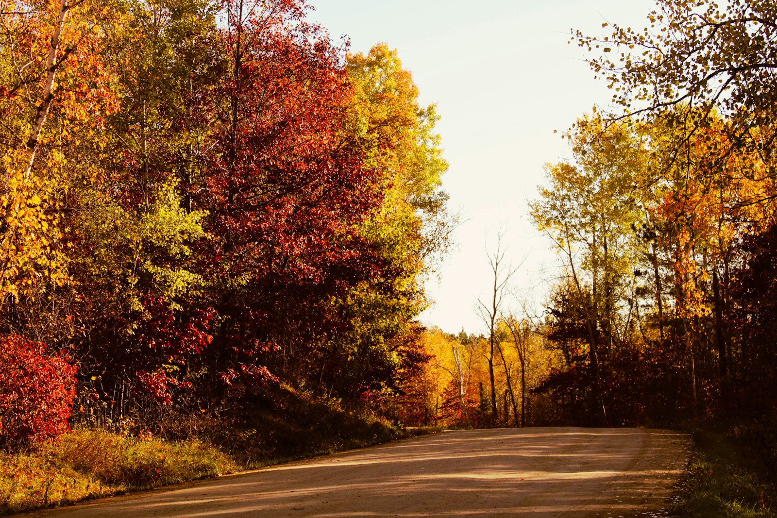 Borderline Personality Disorder - Minnesota Recovery